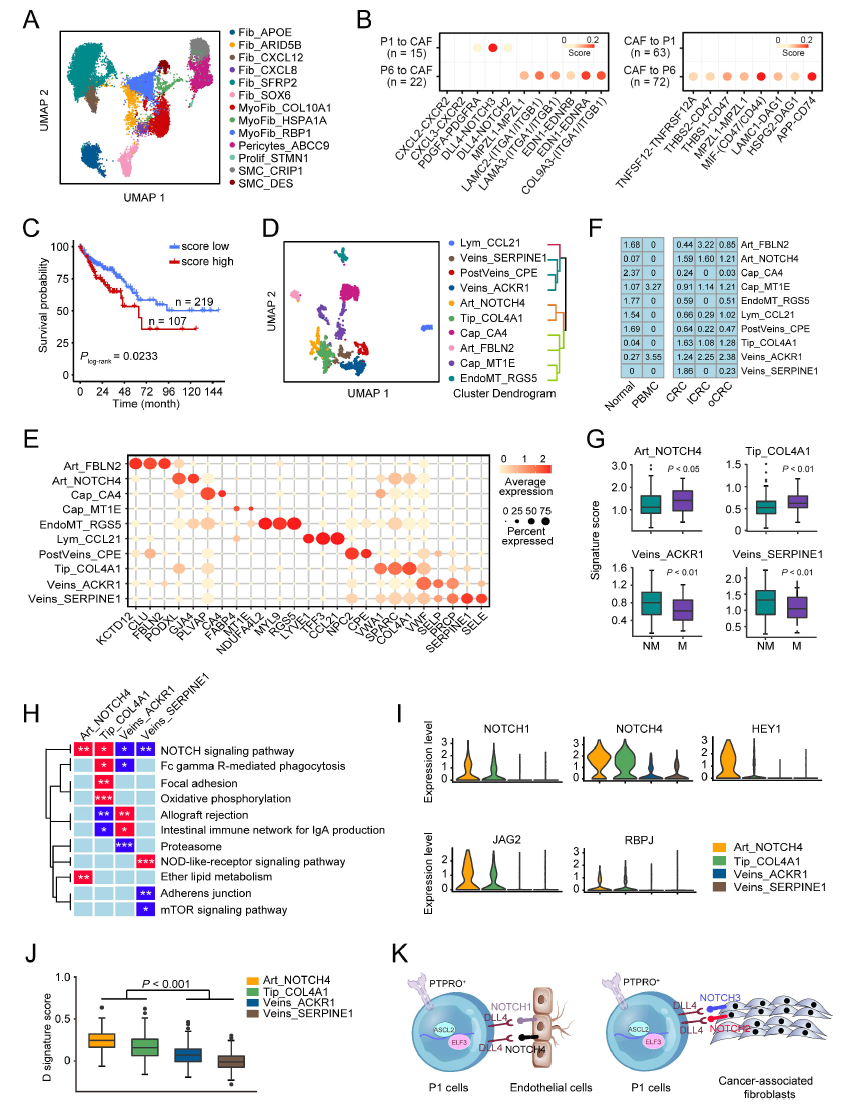 GUT (IF: 23.0) | 单细胞+空间转录组破译结直肠癌异质肿瘤干细胞器官特异性转移机制_结肠癌转移 干性 单细胞测序-CSDN博客