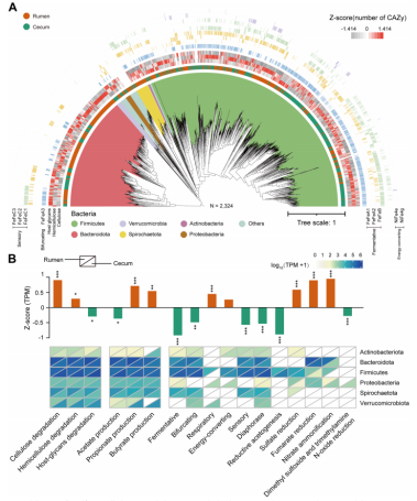Microbiome|宿主转录组+肠道微生态，联合分析范文_肠道菌binning分析-CSDN博客