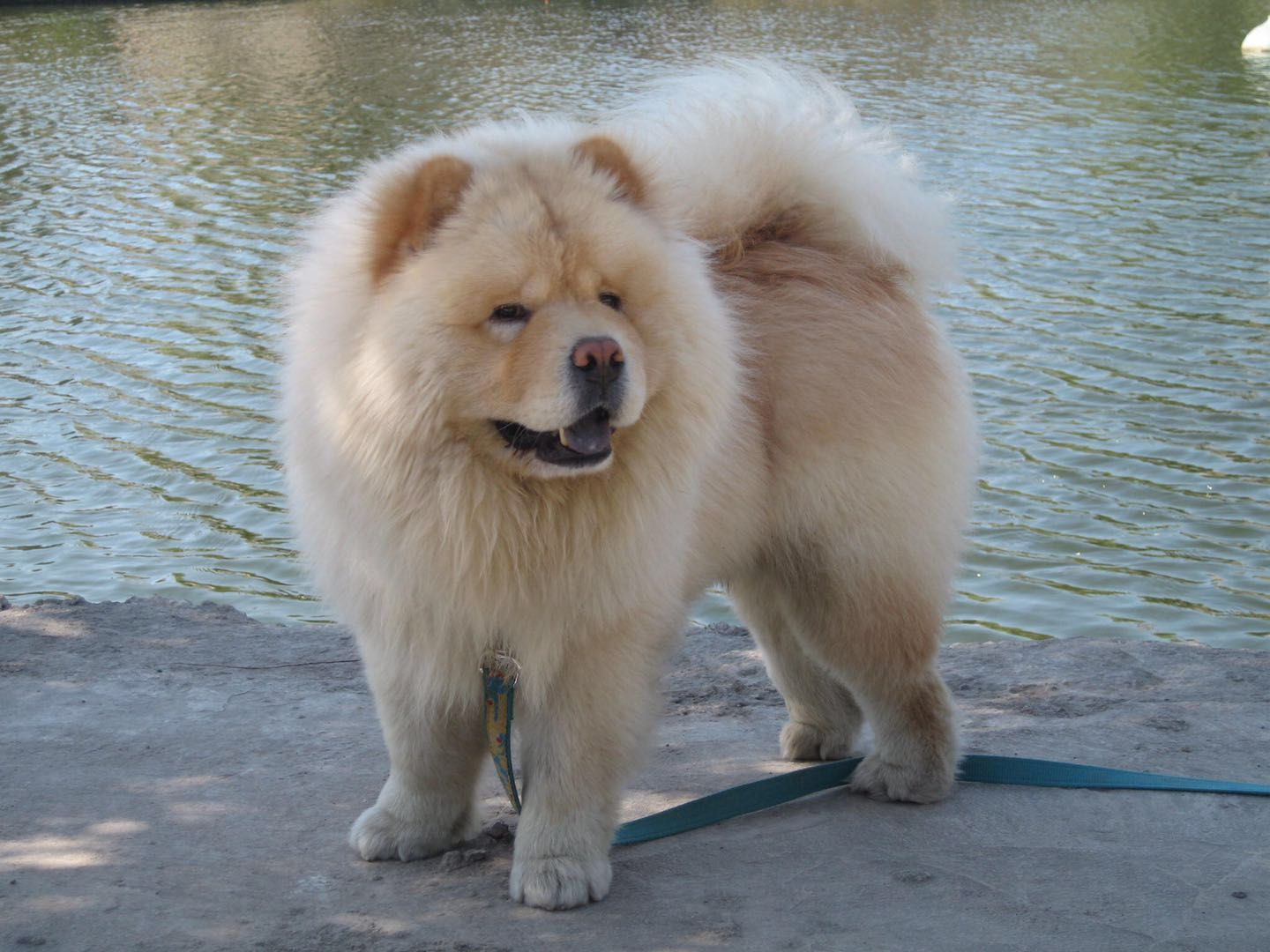 使用投资组合CVaR对象进行条件风险价值（CVaR）投资组合优化(Matlab代码实现)-CSDN博客