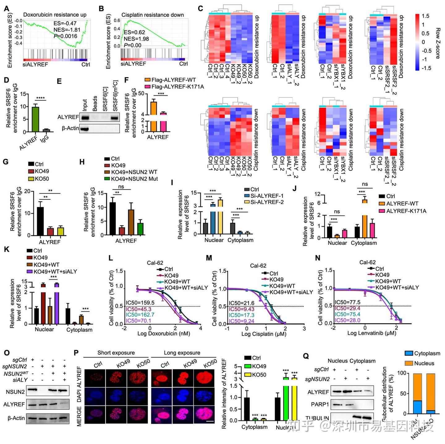 易基因：天津医科大郑向前团队MeRIP-seq等揭示m5C修饰在癌症耐药中的关键调控机制：Theranostics/IF12.4_被敲除基因 通过修饰 kegg go-CSDN博客