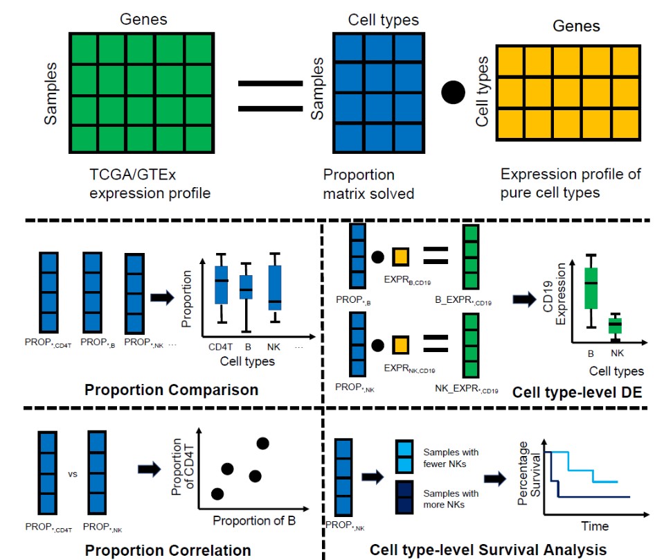 RNA 51.轻松搞定TCGA/GTEx基因表达谱交互分析(GEPIA)-CSDN博客