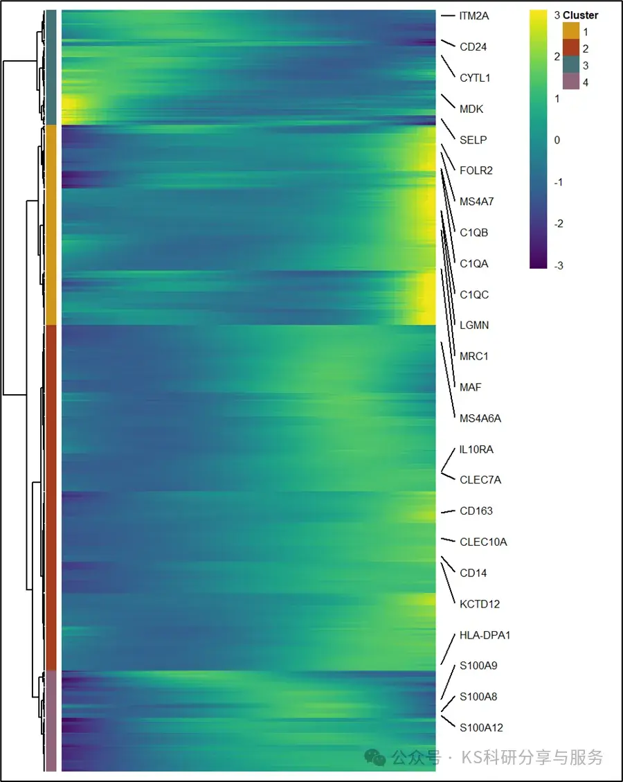 (视频教程): Monocle2安装包测试、分析流程及可视化修饰_cytotrace2如何映射到monocle-CSDN博客