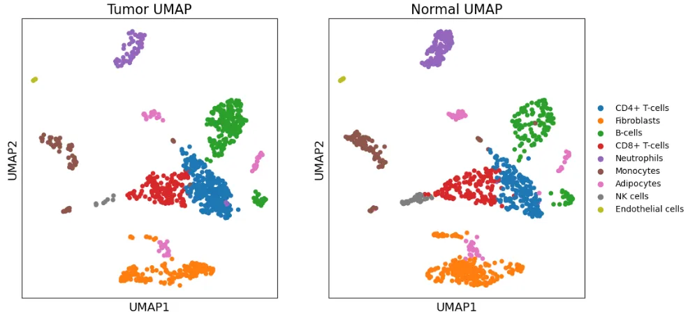 单细胞数据的细胞提取及分组UMAP图绘制流程参考(Python)_sc.tl.umap-CSDN博客