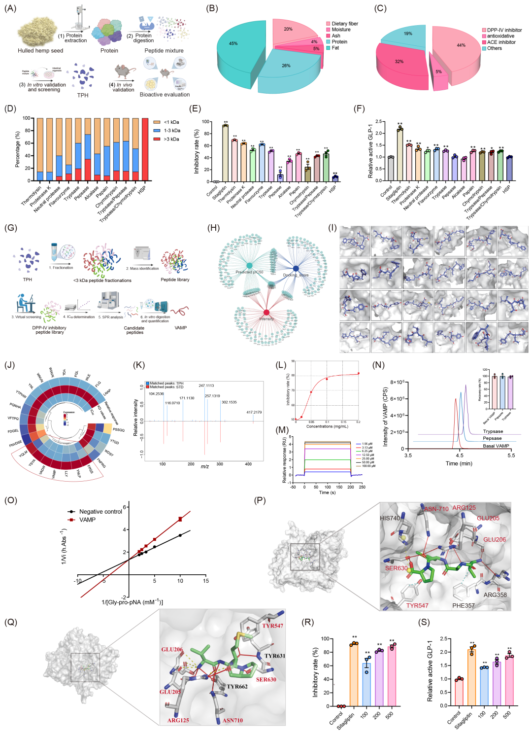 iMeta | 清华大学深圳院邢新会组-火麻仁DPP-IV抑制肽挖掘方法构建及其调控肠道菌群改善糖代谢机制解析-CSDN博客