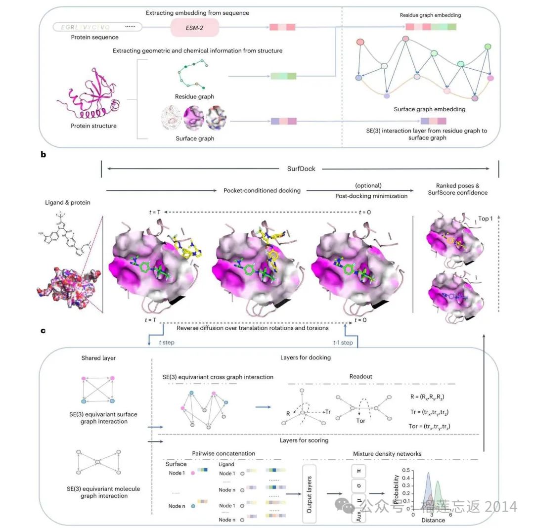 AIDD-人工智能药物设计- 融合表面特征的蛋白质 - 配体复合物预测_surfdock-CSDN博客