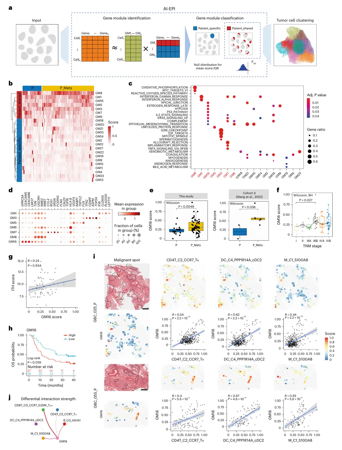 文献分享--胆囊癌多组学分析发现疾病进展相关特异性肿瘤微环境_ppp1r14a dc-CSDN博客