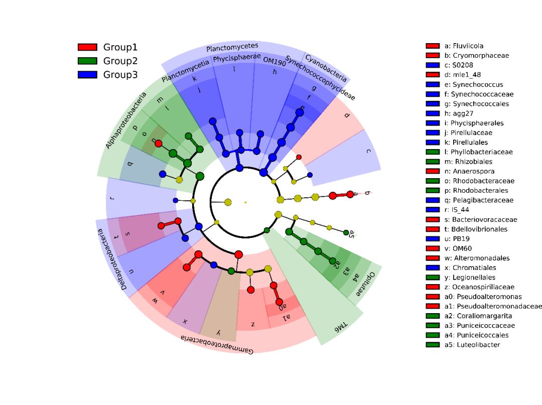 如何简化美化LEfSe分析结果中的Cladogram图-CSDN博客