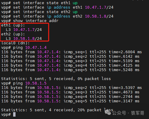 Docker + VPP强强联合：在Docker容器中玩转高性能VPP路由！-CSDN博客