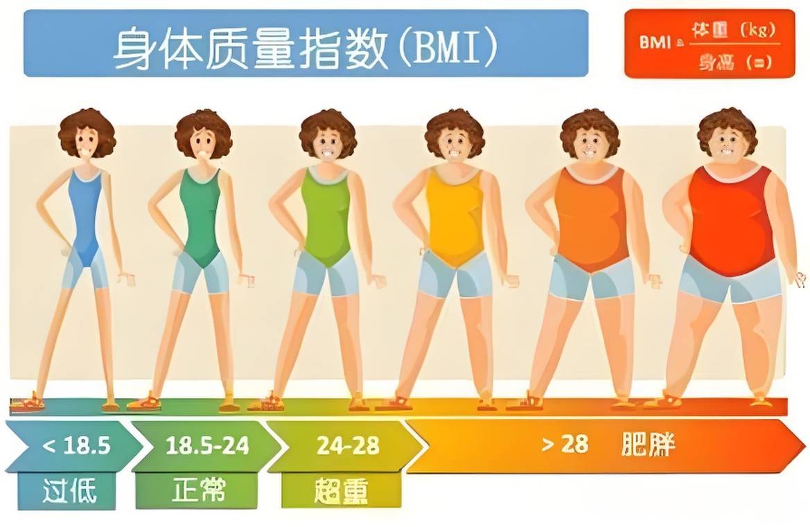从 BMI 监测到代谢调节，这份官方减脂指南请收好！_bmi更细的颗粒度划分-CSDN博客