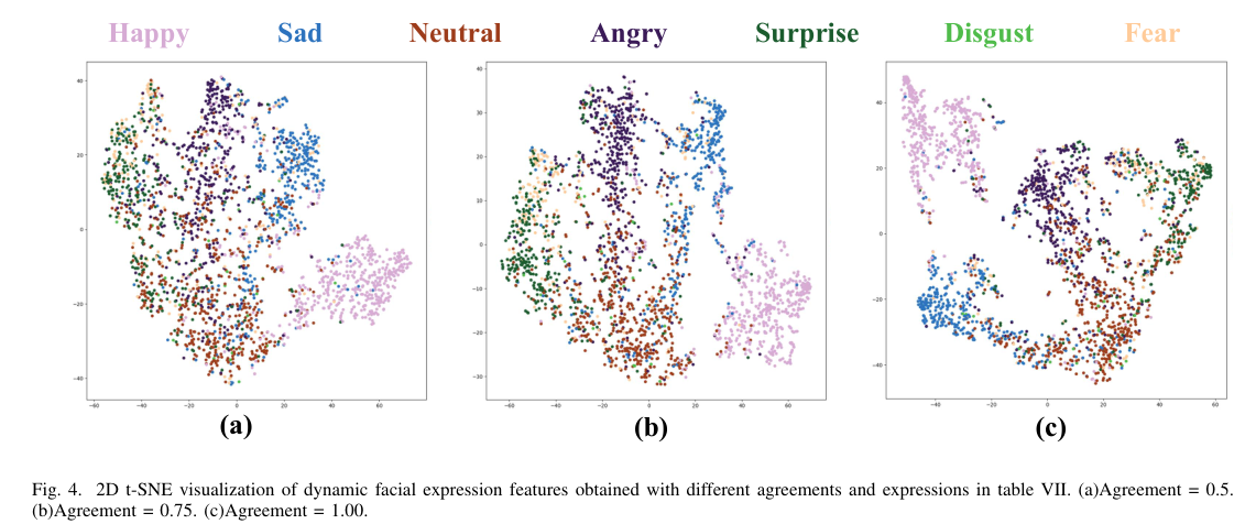 动态面部表情识别（DFER）：Robust Dynamic Facial Expression Recognition-CSDN博客