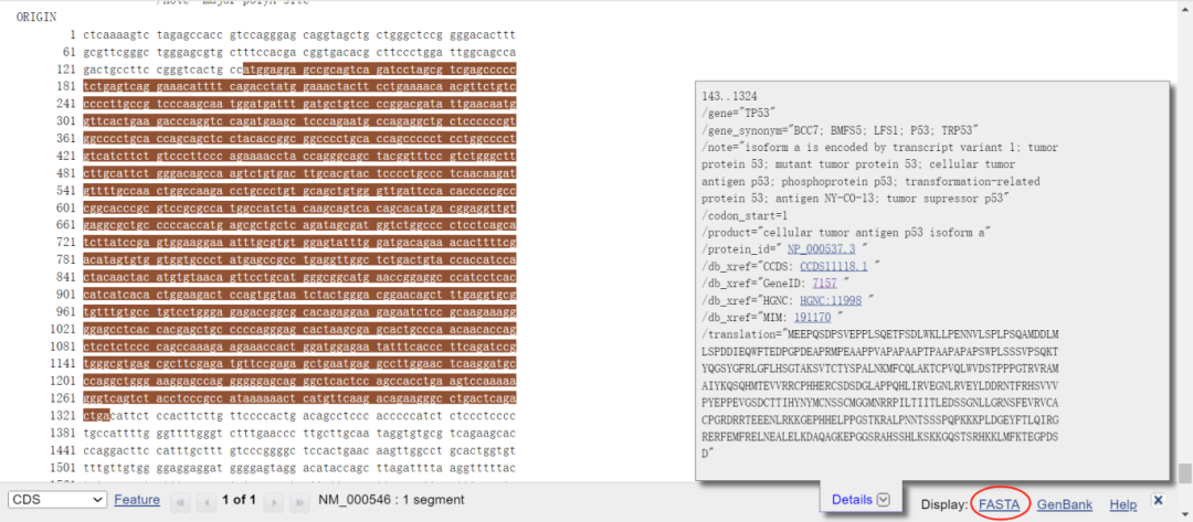 NCBI保姆级使用教程（包含如何查找CDS、启动子、5‘UTR和3‘UTR、lncRNA序列）_生物信息库 查询-CSDN博客