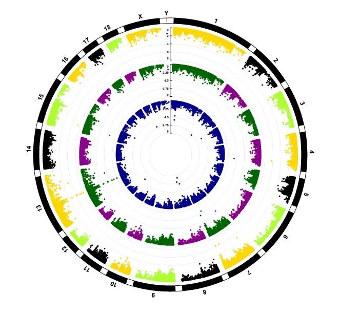 MicrobiomeStatPlots | 曼哈顿图教程Manhattan plot tutorial-CSDN博客