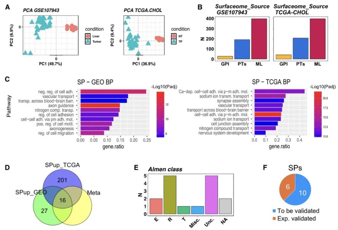 表面蛋白编码基因识别Surf-CSDN博客