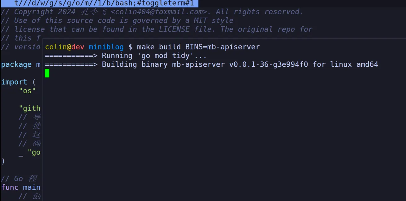 Neovim Go IDE 安装和配置-CSDN博客