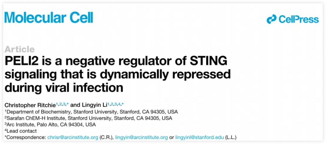文献速递 | E3泛素连接酶PELI2介导STING信号激活的阈值设定-CSDN博客