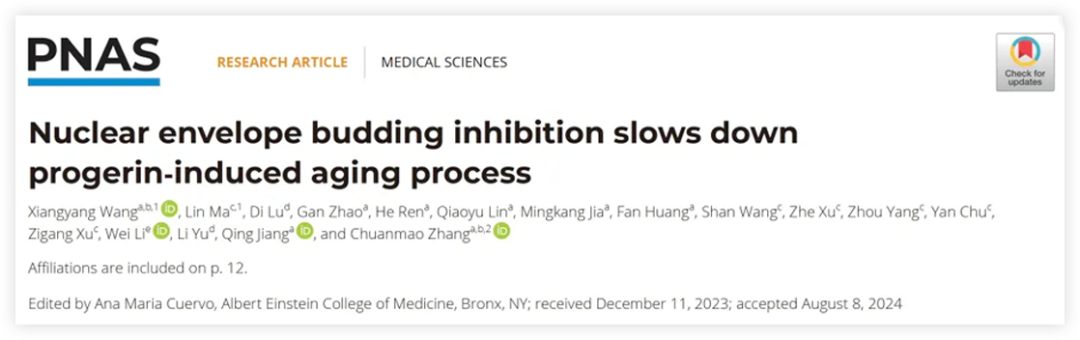 文献速递 | PNAS | 张传茂团队揭示核膜出芽促进衰老的机制及ERK1/2持续性激活在抗衰老中的作用-CSDN博客