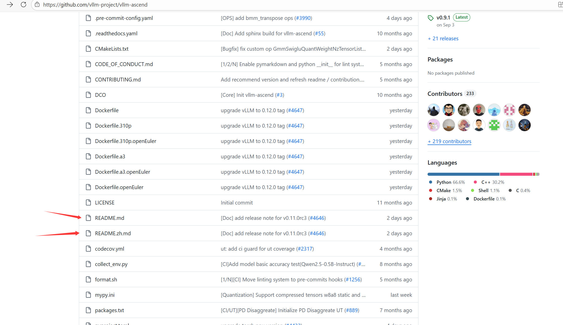 vLLM Ascend 项目架构解析与部署配置指南_ascend-vllm github-CSDN博客