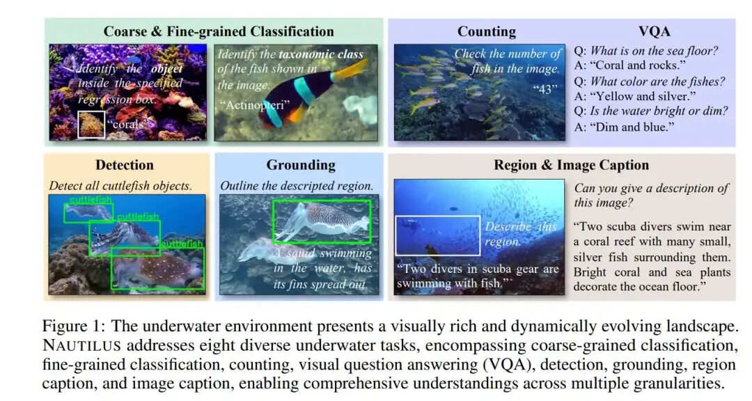 【华中科技大学-NIPS25】NAUTILUS：让AI潜入深海的多模态理解模型-CSDN博客