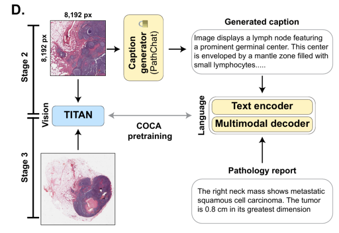 再发布！哈佛医学院又一病理大模型TITAN-CSDN博客