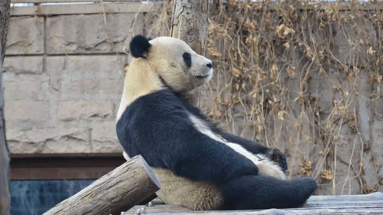 代码之外周刊（第163期）：你需要学会无聊-CSDN博客