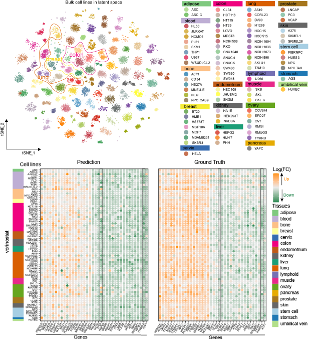 Nat.Commun. | 赵屹/杨胜勇团队发表基于深度生成模型（PRnet）进行新化合物扰动转录响应预测加速药物研发...-CSDN博客