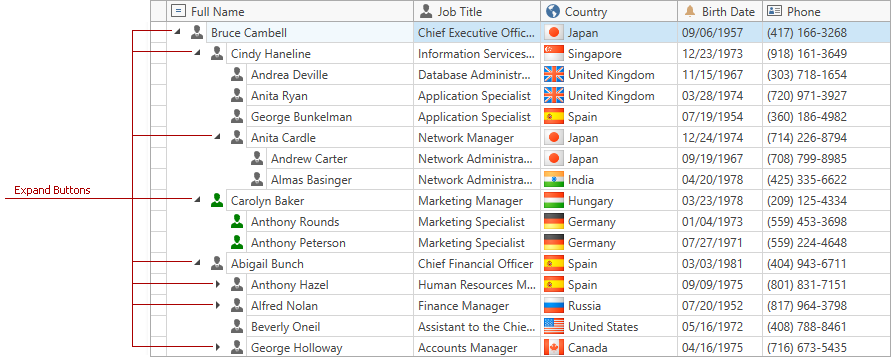 界面组件DevExpress WPF中文教程：Grid - 如何展开和折叠节点？_c# wpf 折叠所有节点-CSDN博客