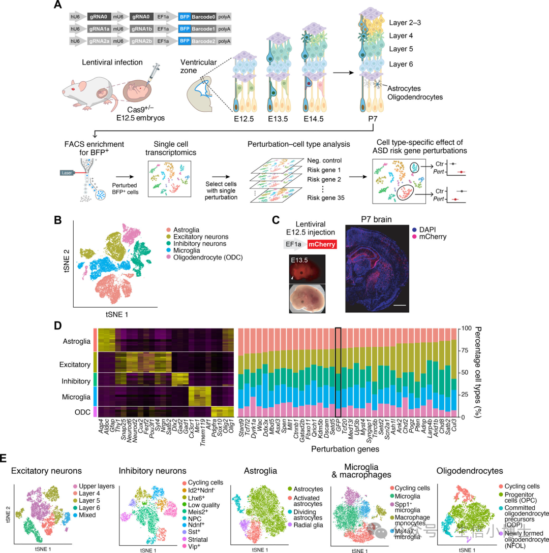 Science|单细胞2.0时代来了：Perturb-seq在体应用首秀！-CSDN博客