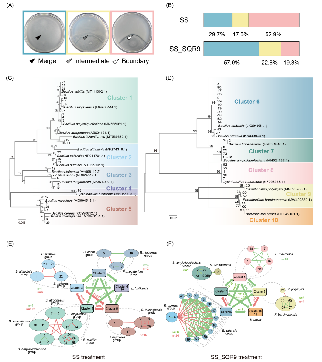 iMeta | 南农沈其荣院士团队-基于微生物社会性行为构建植物促生型合成菌群-CSDN博客
