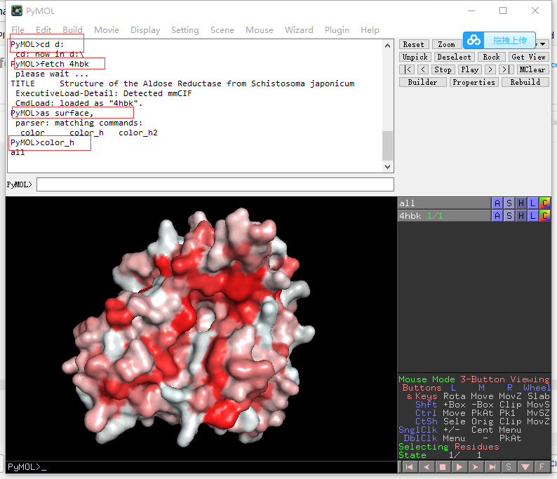 pymol-FAQs-5：_pymol怎么显示氨基酸的名字-CSDN博客