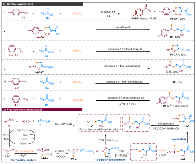 钴催化！华南理工大学张珉，新发JACS！_钴氢催化烯烃coh-CSDN博客
