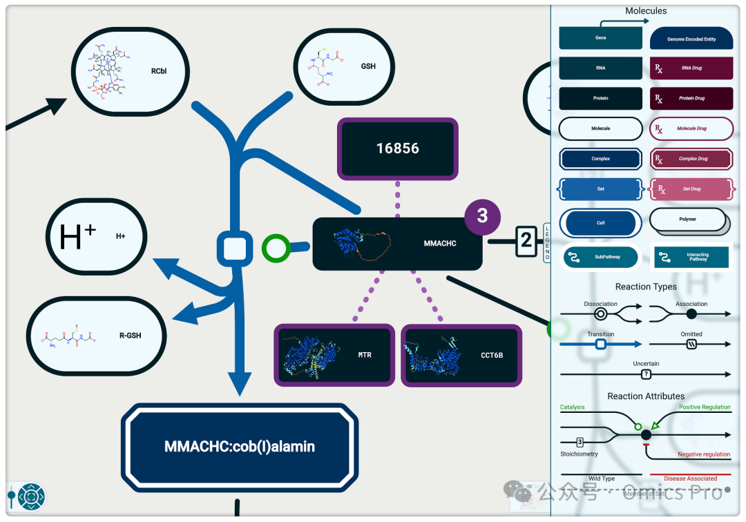 通路分析？Reactome 2026-CSDN博客