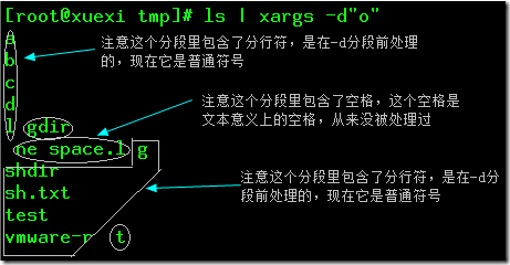 【shell&bash进阶系列】(十)xargs原理剖析及用法详解_bash xargs-CSDN博客