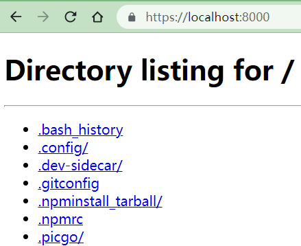 Caddy进阶-caddy进阶-CSDN博客