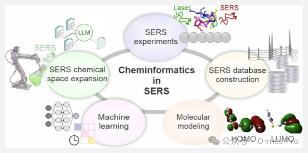 表面增强拉曼散射（SERS）化学信息学_sers预处理-CSDN博客