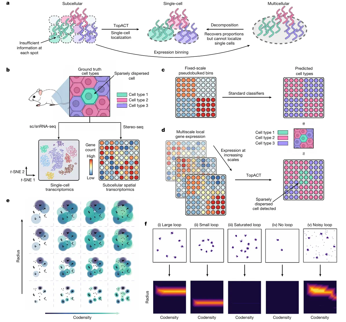 文献分享-----10X Visium HD & Stereo-seq图像分割（nature文献）_stereo-seq bin 20 bin 200-CSDN博客