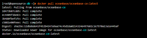 我和OceanBase的故事系列：Docker 安装部署 oceanbase 4 社区版操作记录_oceanbase docker-CSDN博客