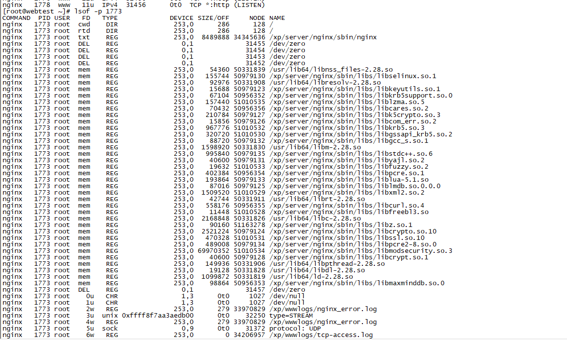 这个Linux命令太牛了！lsof让我在生产环境救火无数次_lsof -np -i-CSDN博客