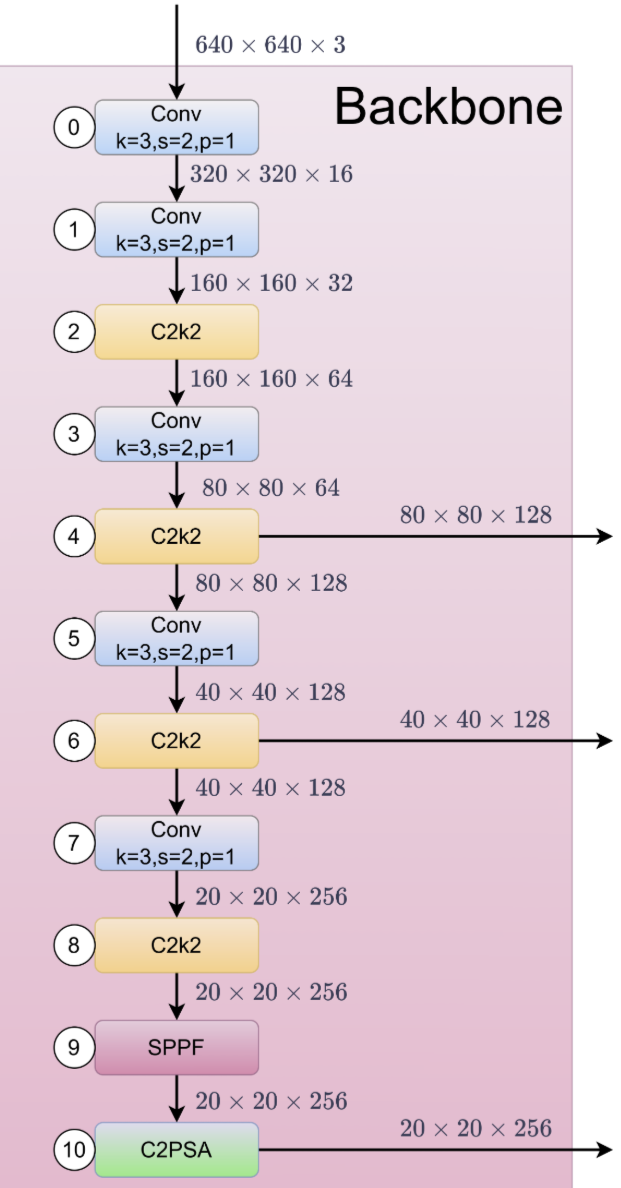 从Backbone到NMS-Free：通俗易懂的YOLO架构解析（附代码）-CSDN博客