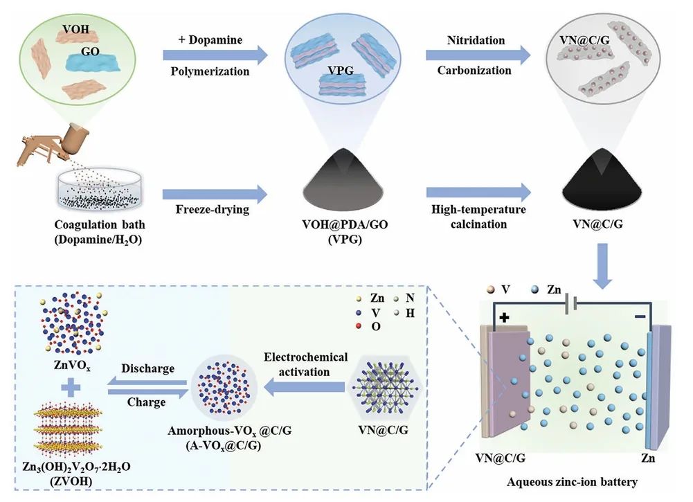 2000 次，91%！南工大/兰大，联合发表AFM！-CSDN博客