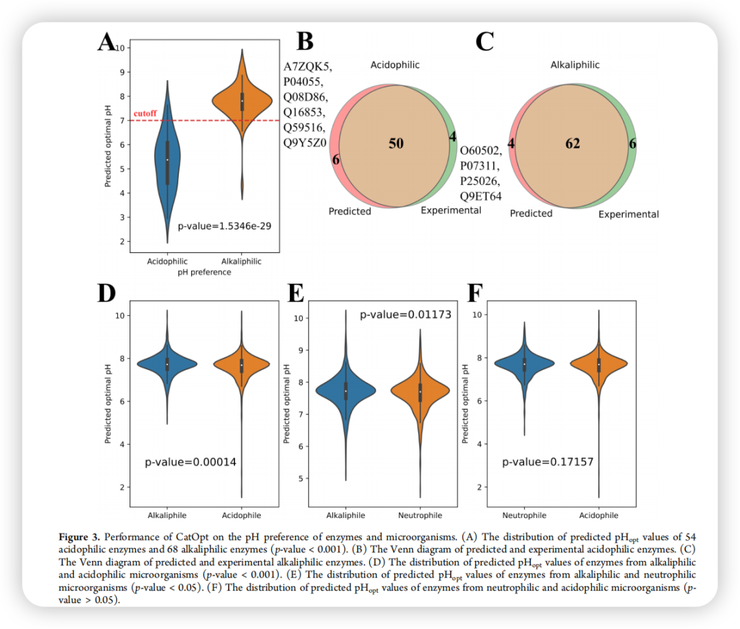 论文16｜Deep learning-based prediction of enzyme optimal pH and design of poi基于深度学习的酶最适 pH 预测及提高耐酸性 ...