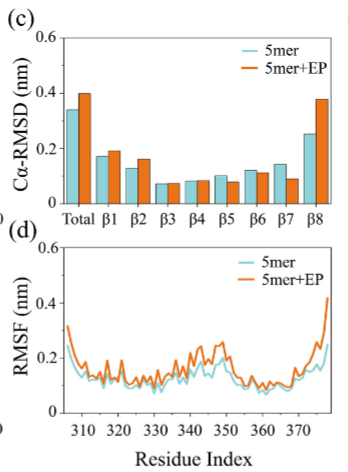 分子动力学模拟揭示肾上腺素抑制tau蛋白聚集的分子机制_tau聚集抑制-CSDN博客