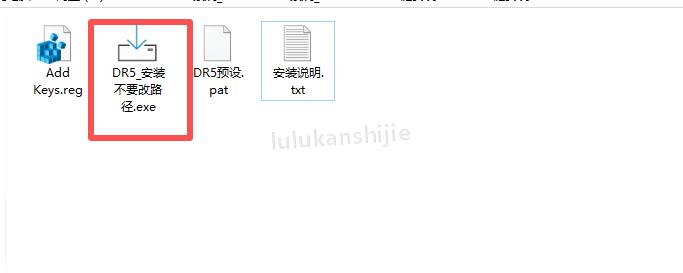 DR5至臻版下载安装教程_dr5插件安装步骤-CSDN博客