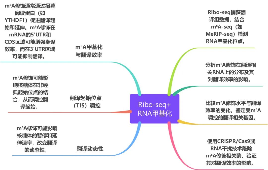 Ribo-seq+多组学：解码基因表达的“隐藏维度”_lace-seq和ribose比较-CSDN博客