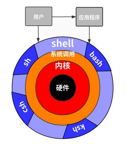 重生之我要学Shell-CSDN博客