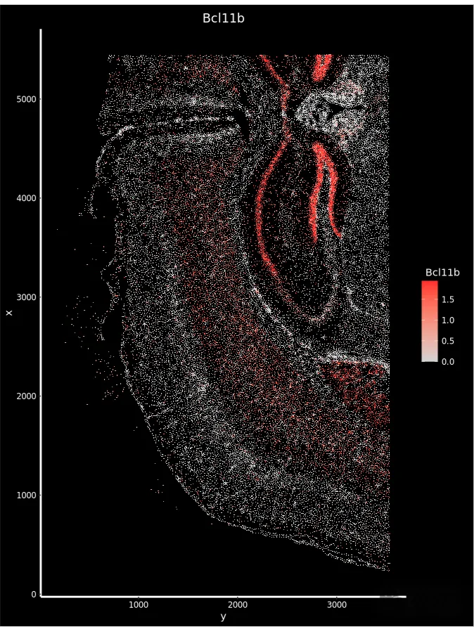 必看！Seurat赋能 Xenium空间转录组学分析全攻略-CSDN博客