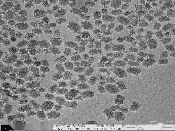 水凝胶的微观形貌表征：SEM、TEM和STEM等该如何选用？_形貌tem或afm-CSDN博客