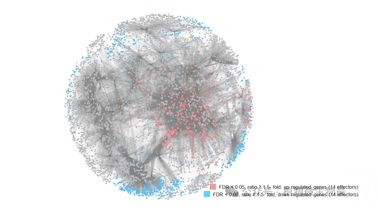 New Phytologist | 中国农科院魏海雷团队揭示丁香假单胞核心效应蛋白组与植物互作网络-CSDN博客