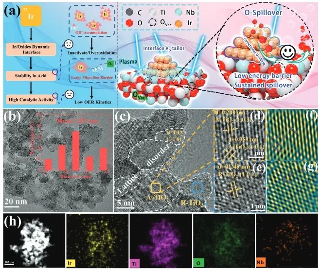 福州大学，新发AFM！-CSDN博客