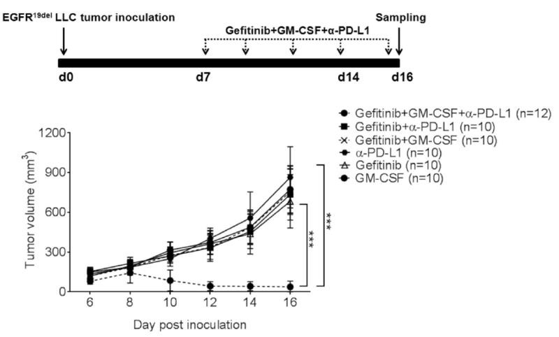 肺癌中EGFR E746-A750缺失通过外泌体抑制树突状细胞功能_egfr-e746-CSDN博客