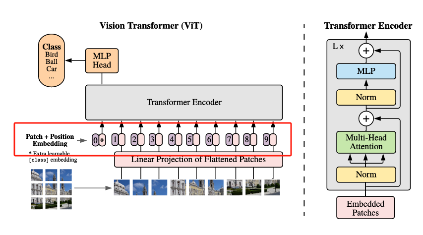 手把手教你实现PyTorch版ViT：图像分类任务中的Transformer实战_vit实战-CSDN博客
